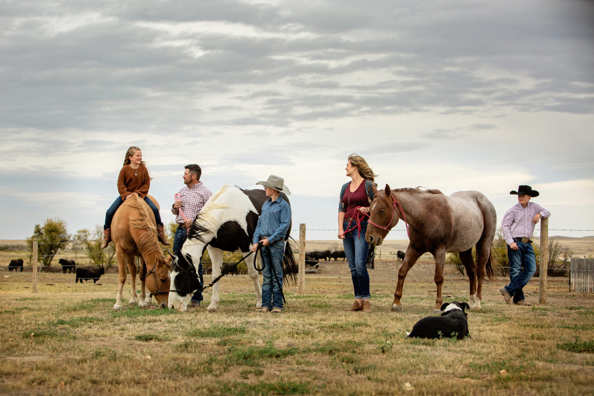 Spring River Cattle Co. » Contact us